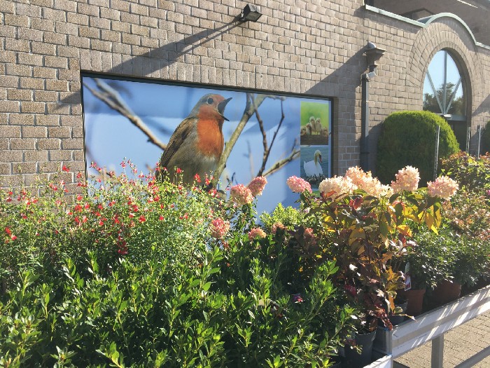 Tuin Inrichting